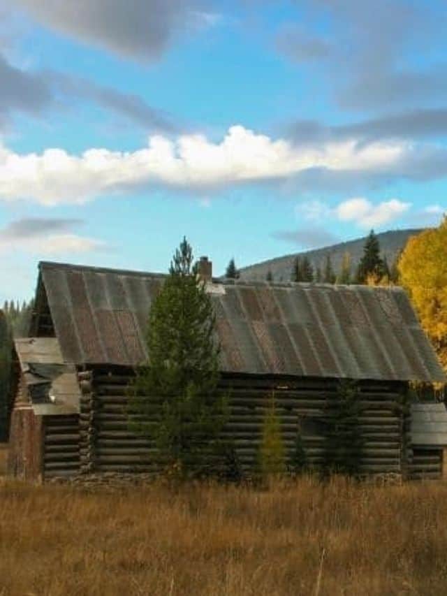 WHAT IS HOMESTEADING? WHAT TO KNOW TO GET STARTED STORY - An Off Grid Life