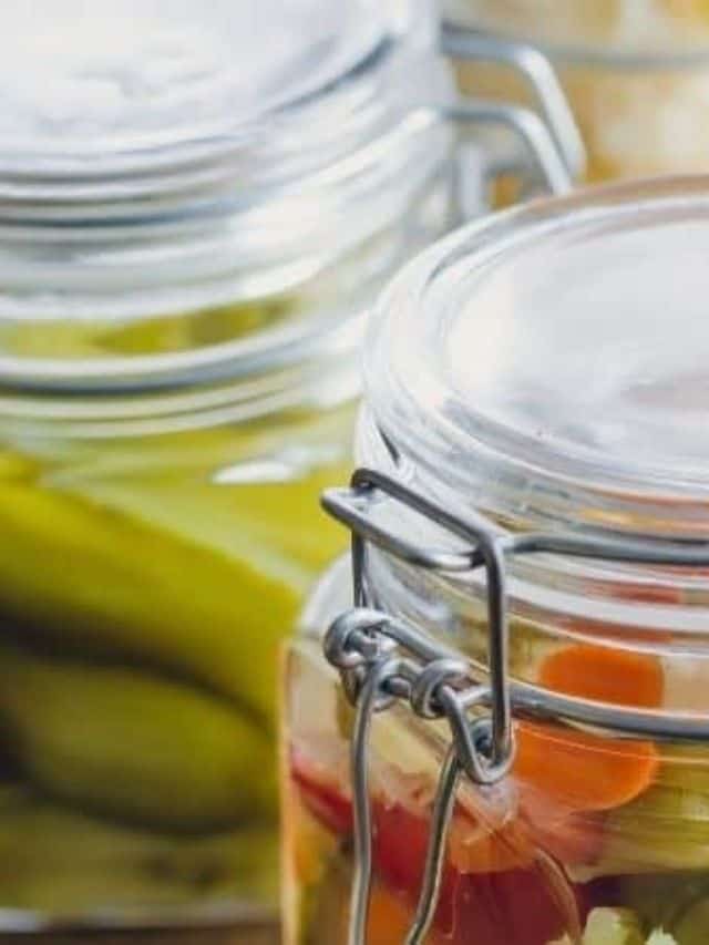 PICKLING FOR BEGINNERS: HOW TO GET STARTED STORY - An Off Grid Life