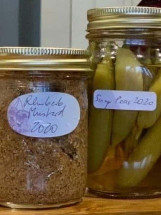 BALL MASON JARS: HOW TO USE THEM (SAFELY) IN YOUR HOME STORY - An Off ...