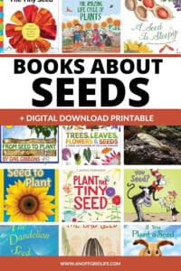 15 Books About Seeds for Kids & Free Seed Catalog Scavenger Hunt ...