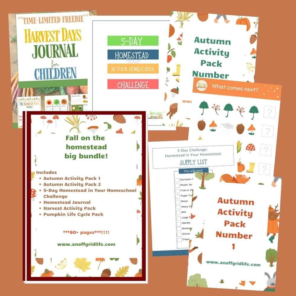Homeschool Freebie Friday - An Off Grid Life