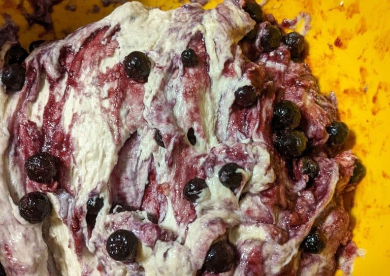 Old-Fashioned Artisan Dutch Oven Blueberry Bread Recipe - An Off Grid Life