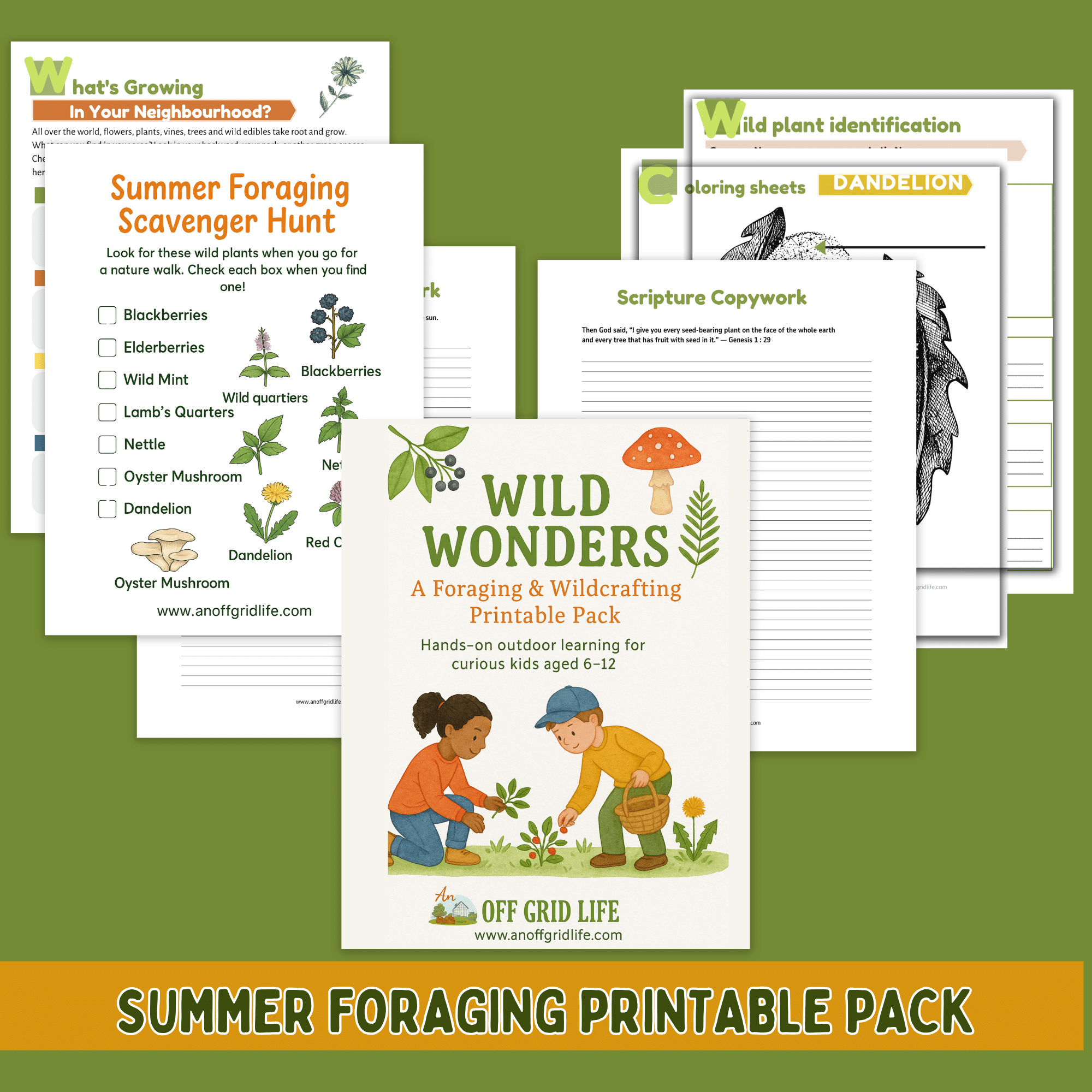 Homeschool Freebie Friday - An Off Grid Life