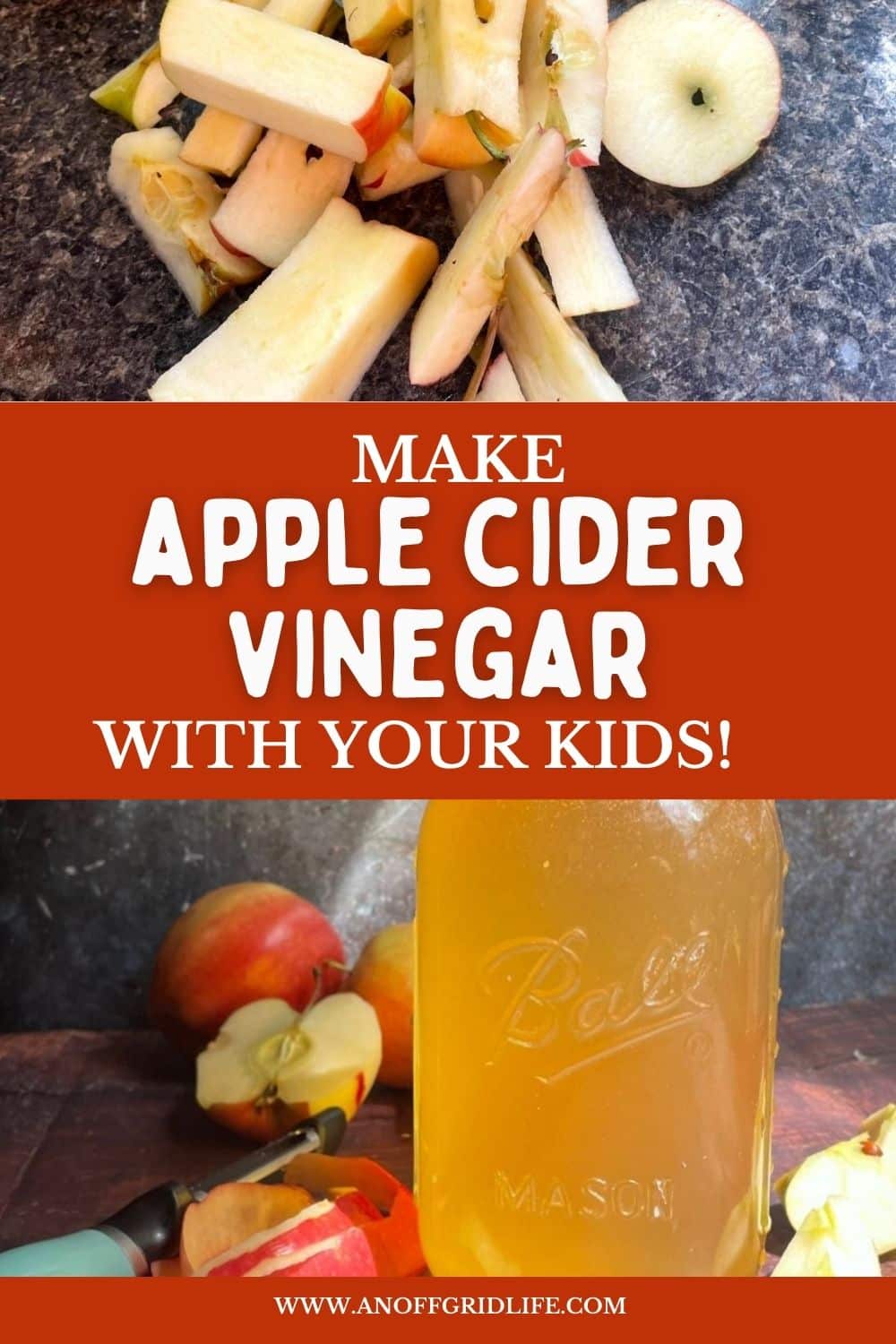 How to Make Homemade Apple Cider Vinegar - An Off Grid Life