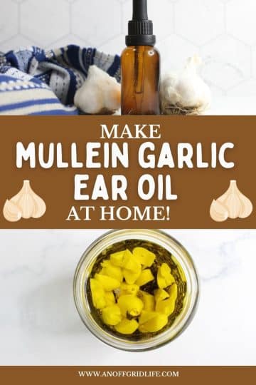 Homemade DIY Mullein Garlic Oil for Ear Aches - An Off Grid Life