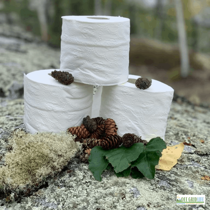 21 Toilet Paper Alternatives for When the TP is Gone - An Off Grid Life
