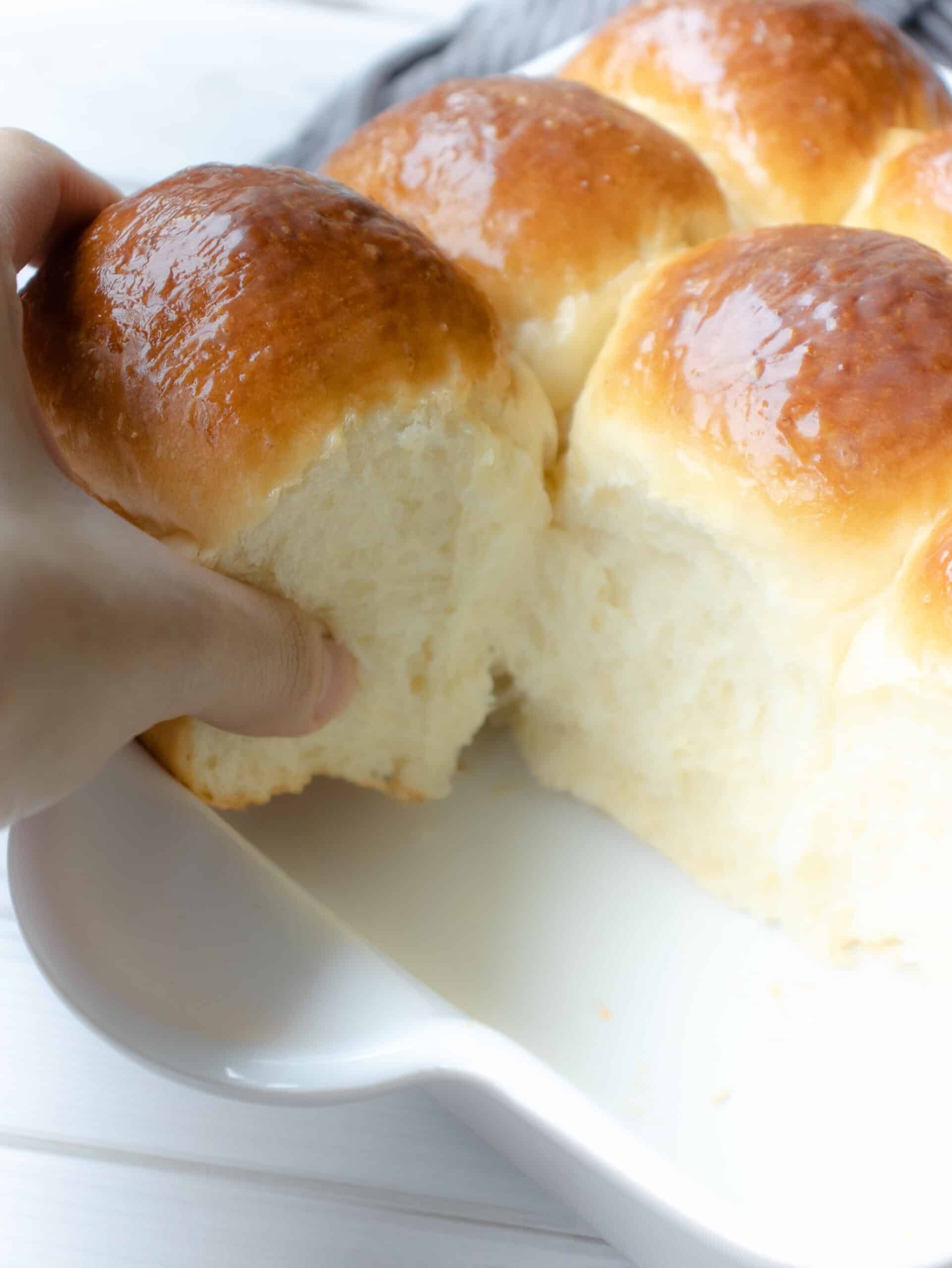 Condensed Milk Dinner Rolls | An Off Grid Life