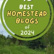 45 Best Homestead Blogs for 2024