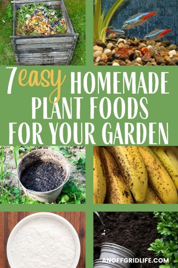 Homemade Plant Food: 7 Easy Natural Fertilizer Recipes - An Off Grid Life