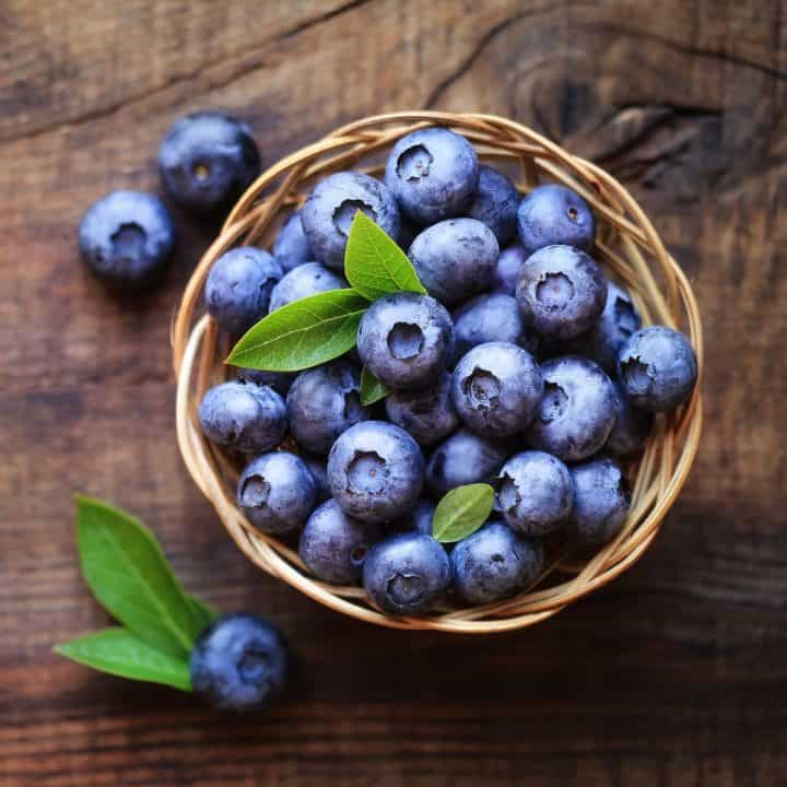7 Ways To Preserve Blueberries An Off Grid Life 7 Ways To Preserve Blueberries An Off Grid Life