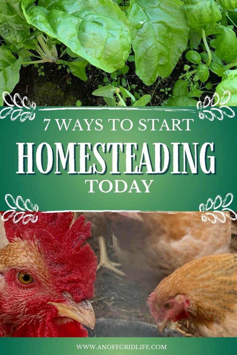 7 Ways To Start Homesteading Today - An Off Grid Life