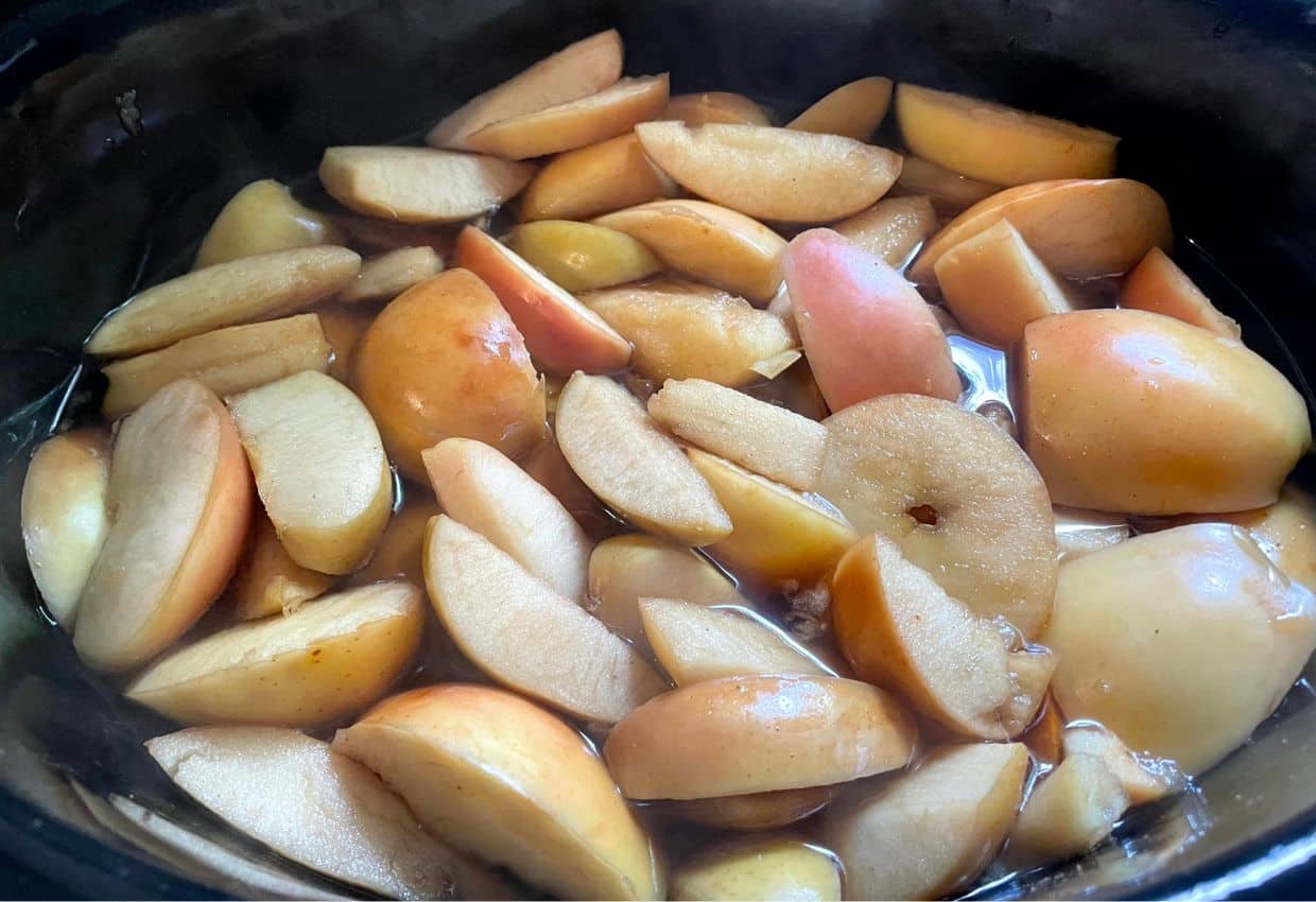 Non Alcoholic Apple Cider Recipe in the Slow Cooker - An Off Grid Life