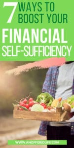 Financial Self-Sufficiency: 7 Tips to Boost Yours - An Off Grid Life
