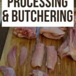 Raising Rabbits For Meat #2: Processing & Butchering | An Off Grid Life
