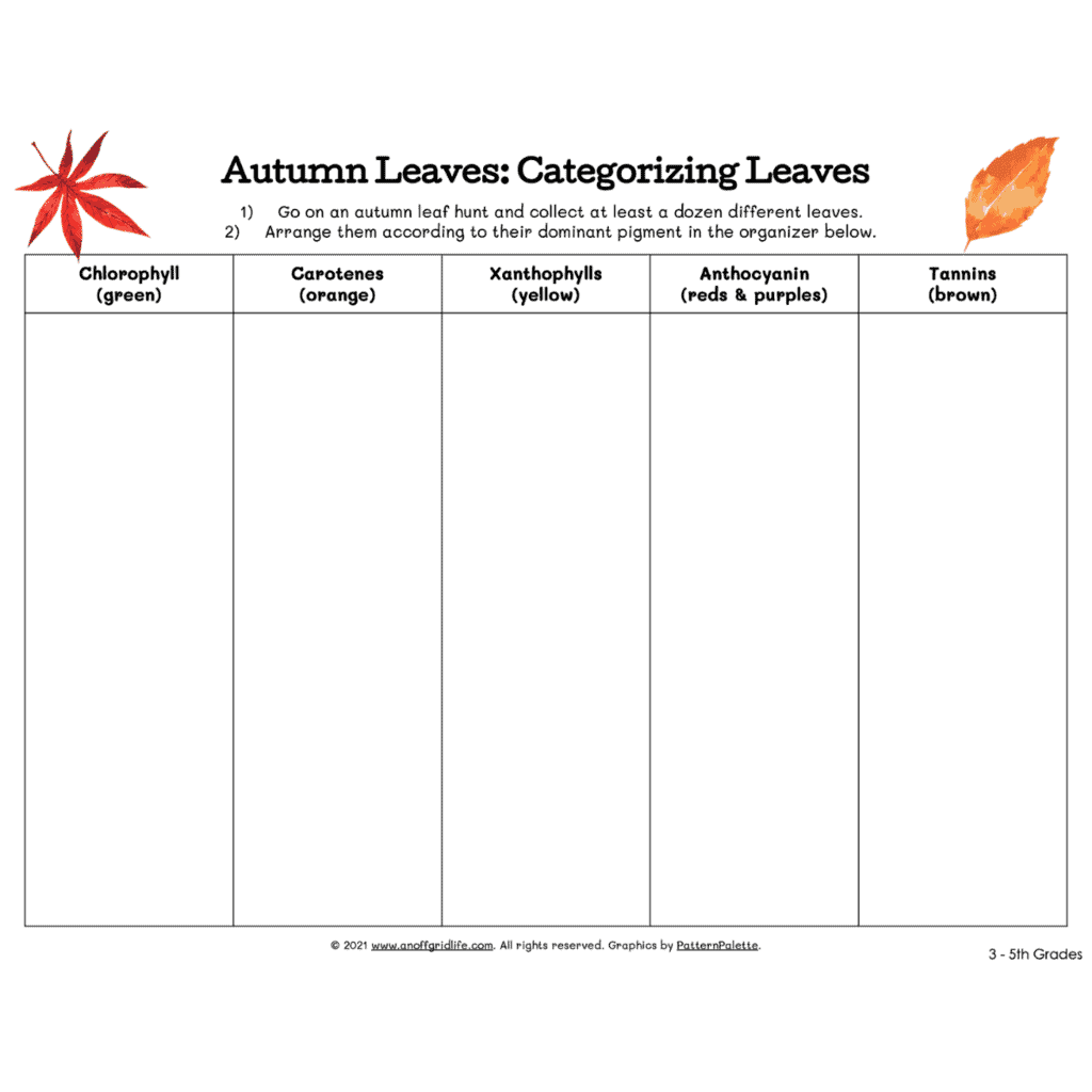 Fall Leaves Printables and Facts About Leaves - An Off Grid Life