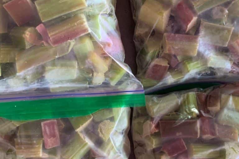 How to Freeze Rhubarb at Home - An Off Grid Life