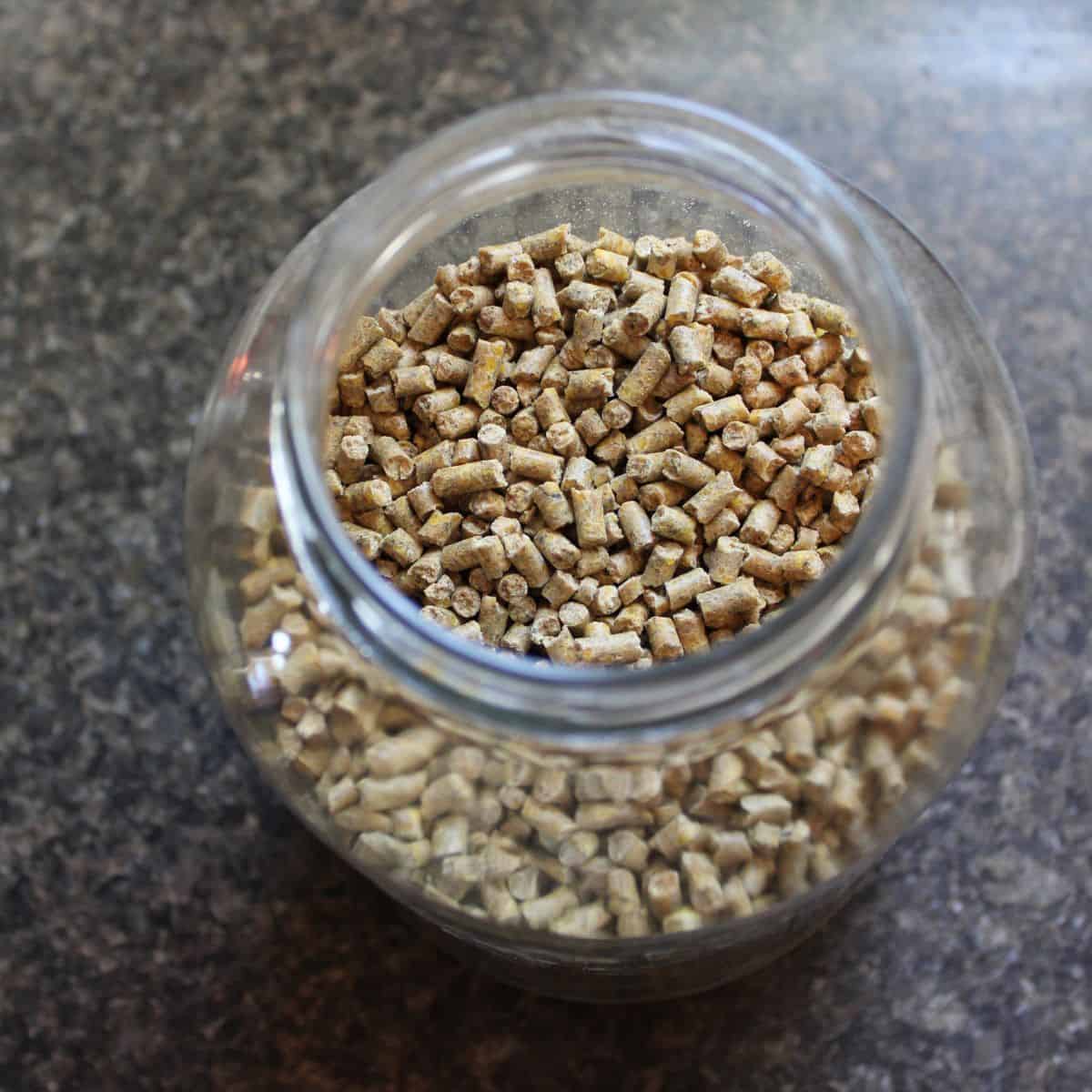 Fermented Chicken Feed - An Off Grid Life