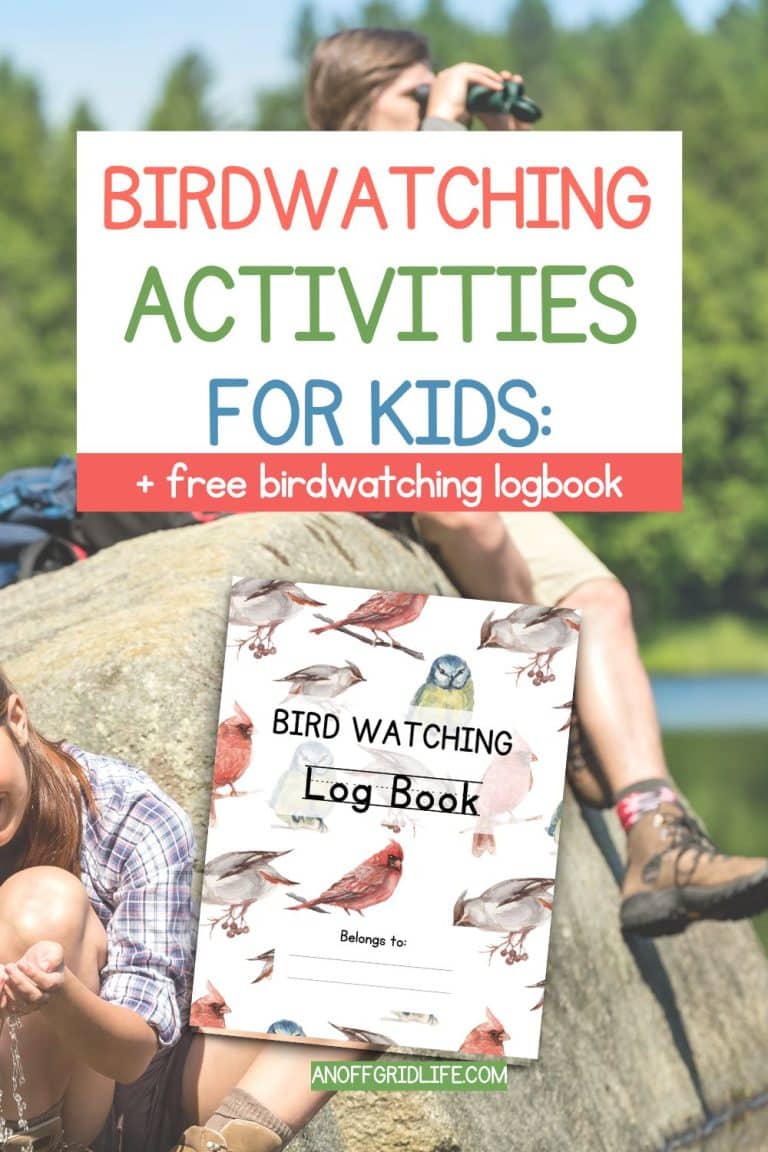 Bird Watching for Kids - An Off Grid Life