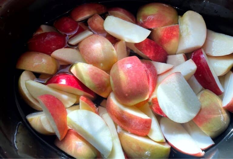 Non Alcoholic Apple Cider Recipe in the Slow Cooker - An Off Grid Life