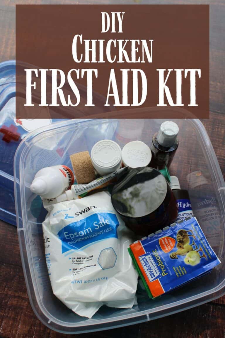 How to Make a Homemade Chicken First Aid Kit - An Off Grid Life
