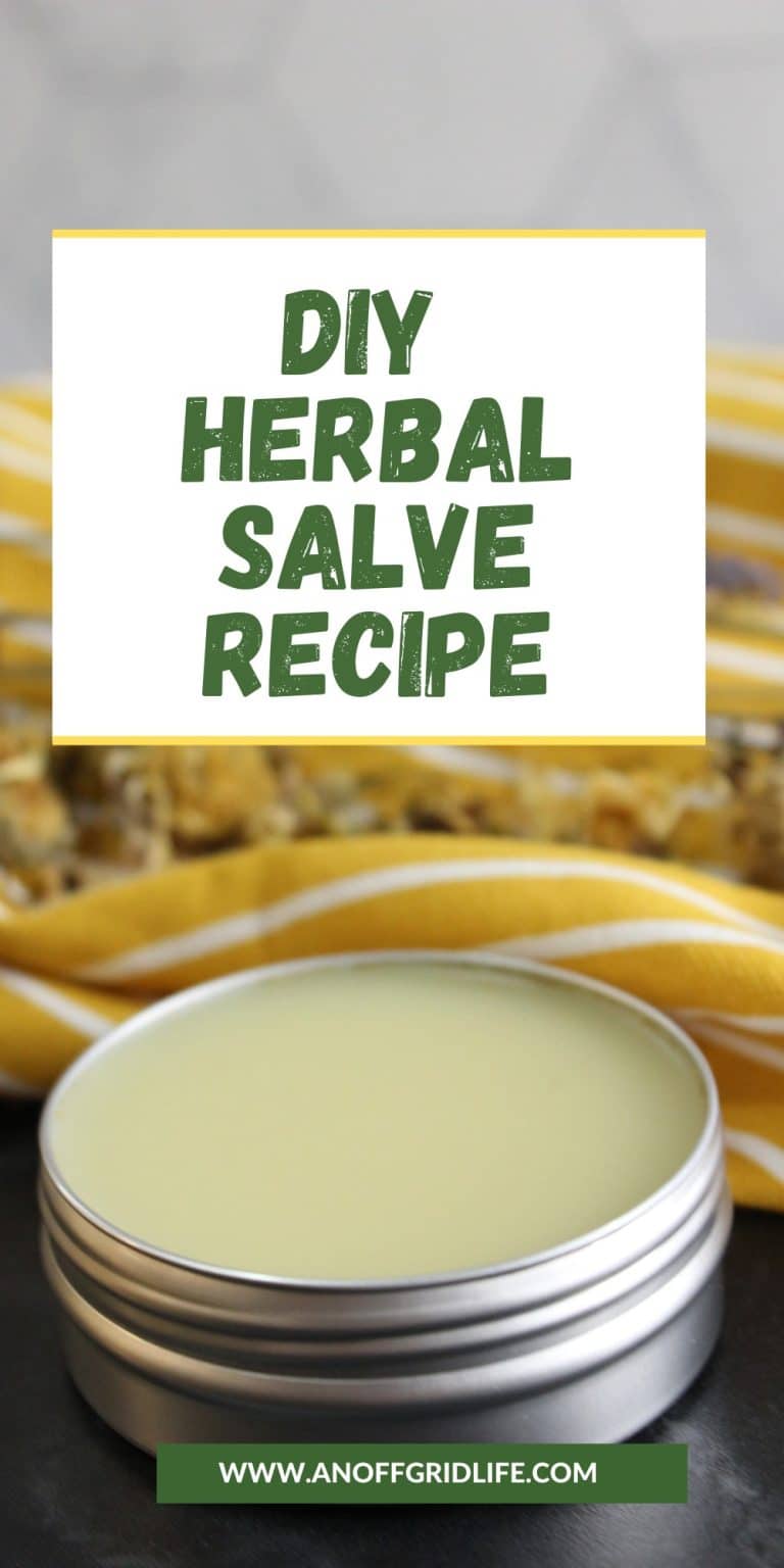 DIY Herbal Healing Salve Recipe - An Off Grid Life