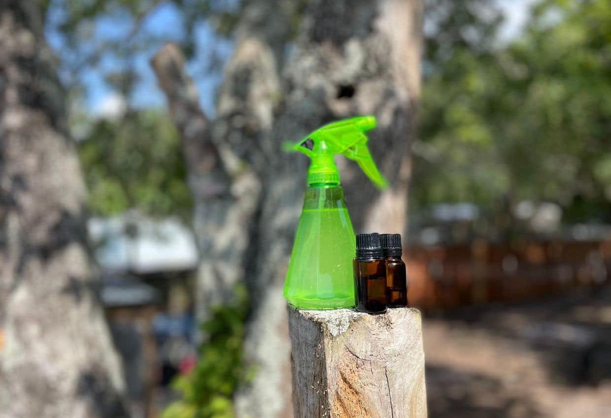 Homemade DIY Bug Spray with Essential Oils