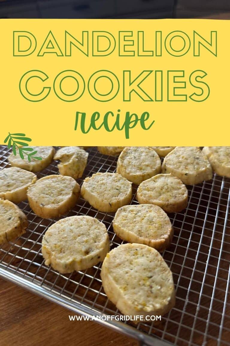 Dandelion Cookies Recipe: How to Make Flower Shortbread