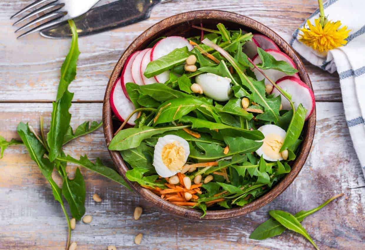 Edible Garden Weeds And How To Cook Them An Off Grid Life