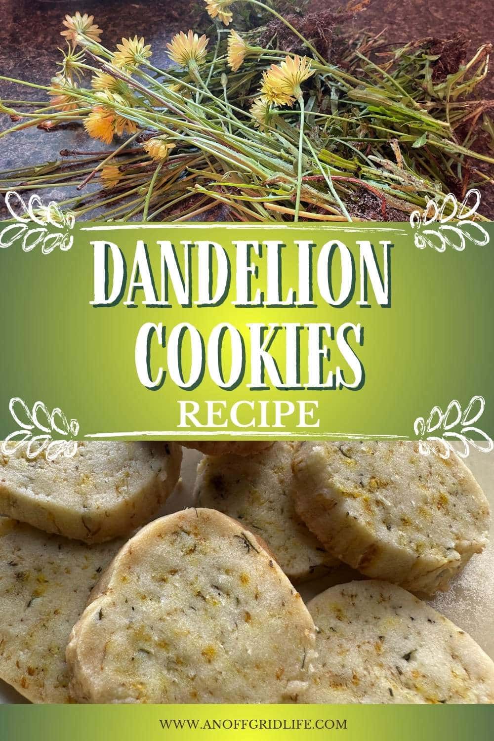 Dandelion Cookies Recipe: How to Make Flower Shortbread