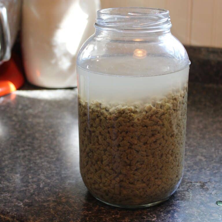 Fermented Chicken Feed - An Off Grid Life