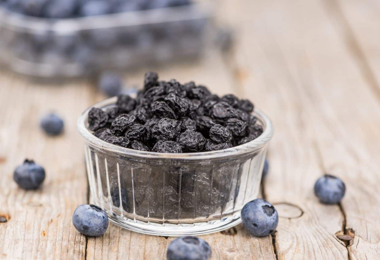 7 Ways to Preserve Blueberries - An Off Grid Life
