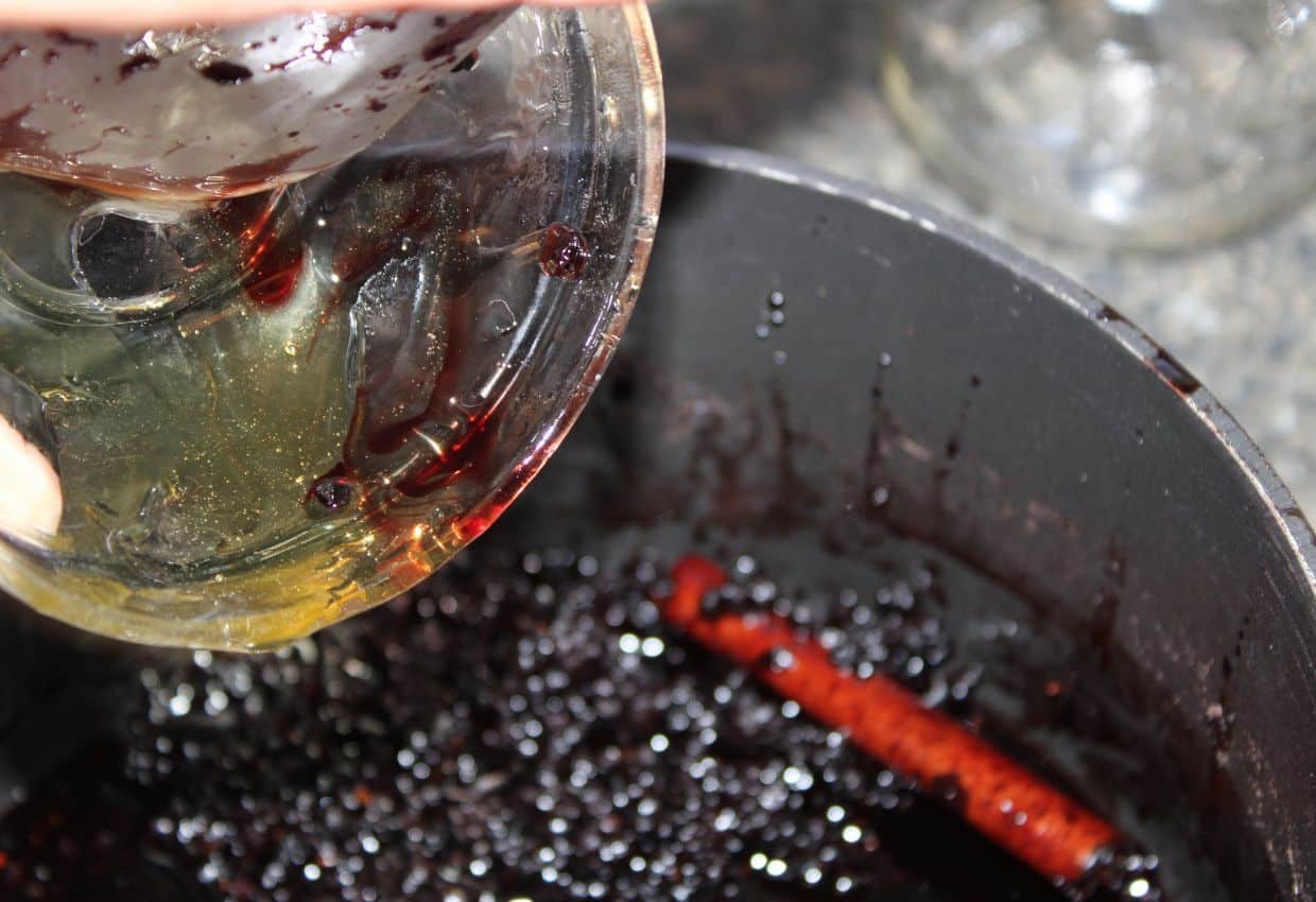 Simple Recipe: How to Make Elderberry Syrup - An Off Grid Life
