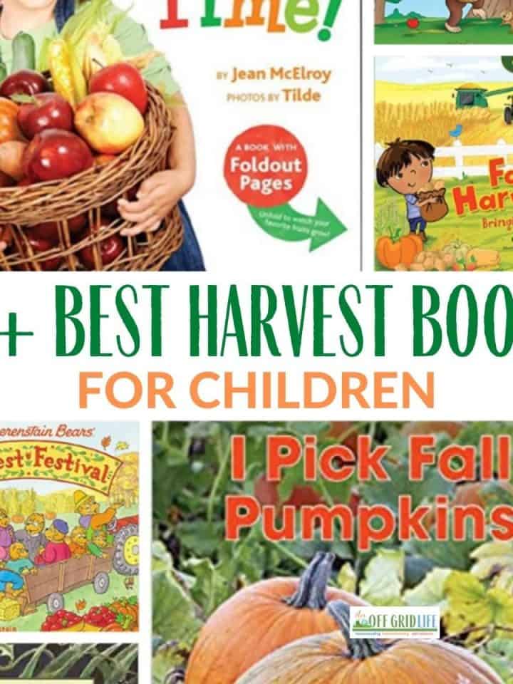 Best Canning and Preserving Books - An Off Grid Life