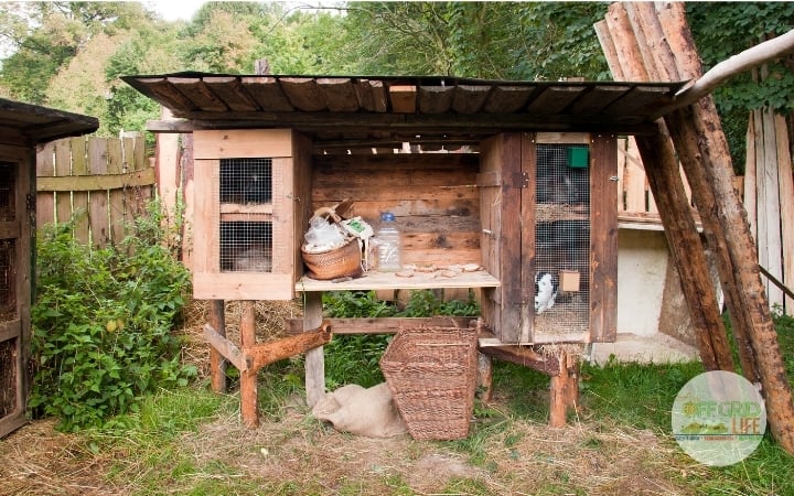 Raising Rabbits For Meat #3: Tips for How to Build a Rabbit Hutch | An ...