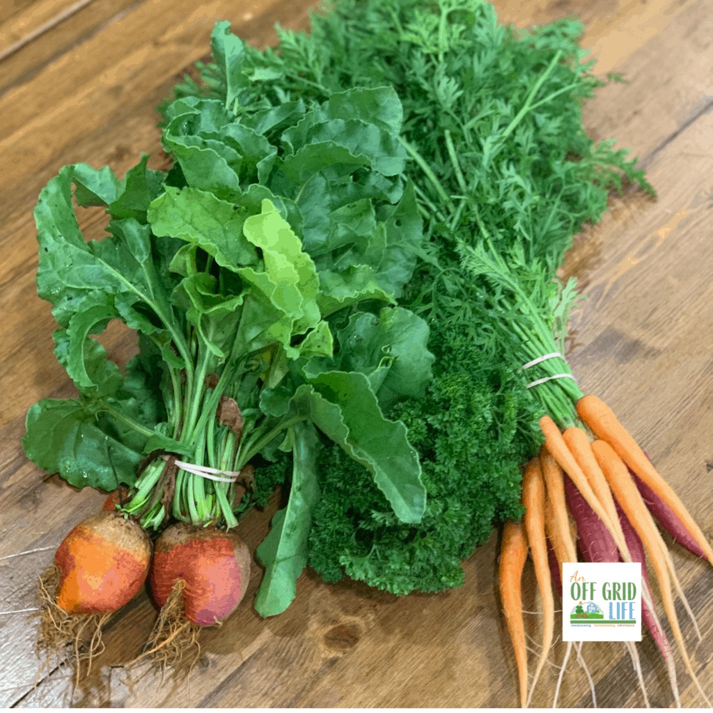 Favorite Fall Vegetables and What to Do With Them - An Off Grid Life