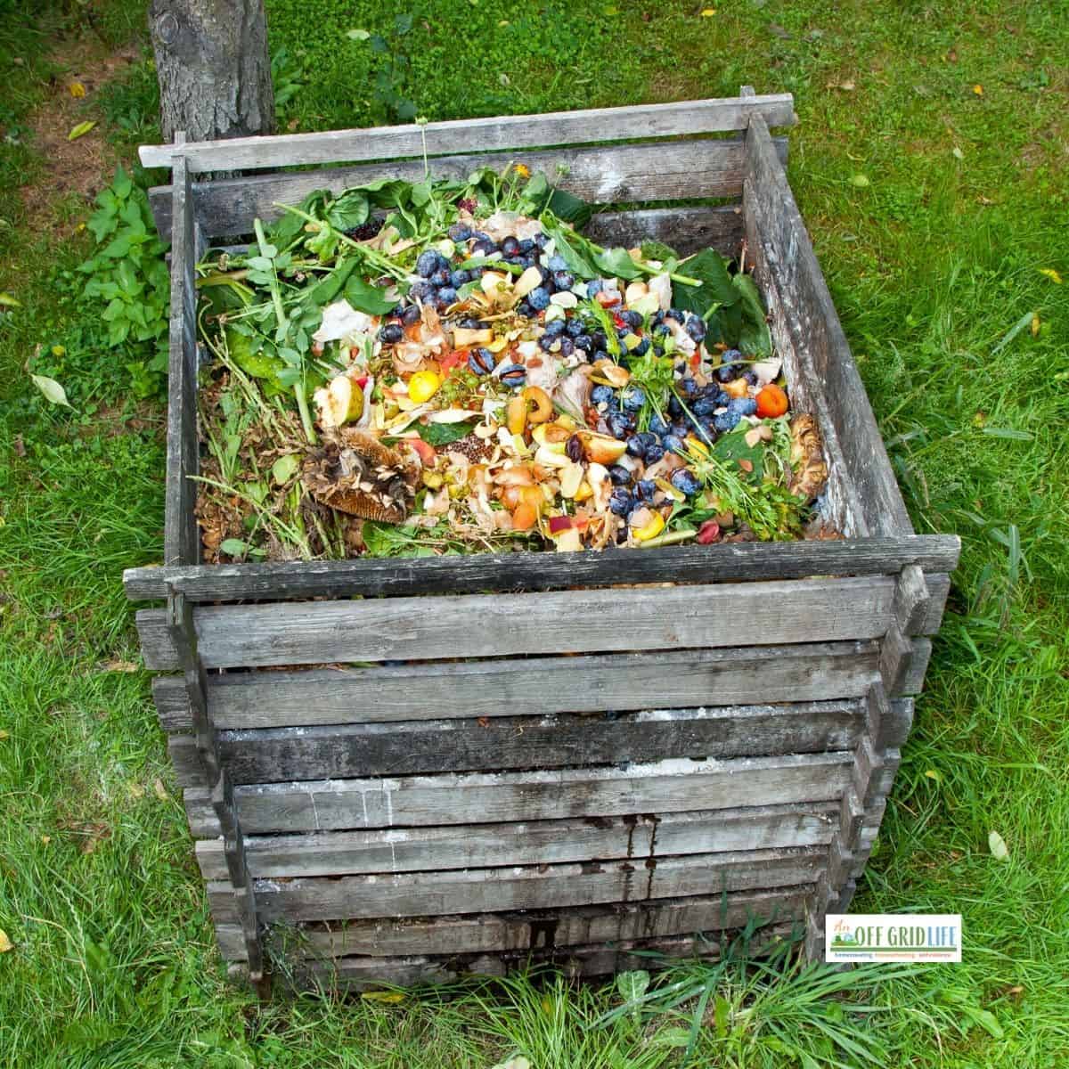 Homemade Plant Food: 7 Easy Natural Fertilizer Recipes - An Off Grid Life