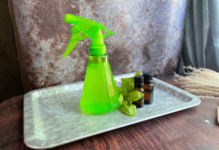 How to Make Homemade DIY Bug Spray with Essential Oils
