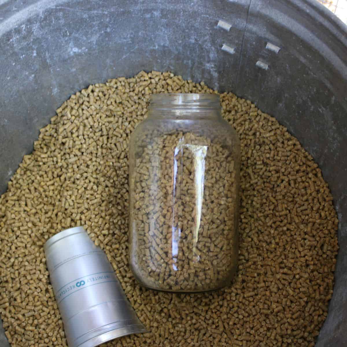 Fermented Chicken Feed - An Off Grid Life