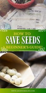 How to Save Seeds: A Beginner's Guide to Seed Saving - An Off Grid Life