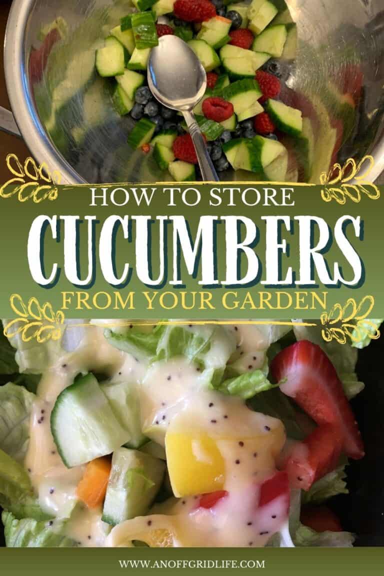 How to Store Cucumbers from The Garden - An Off Grid Life