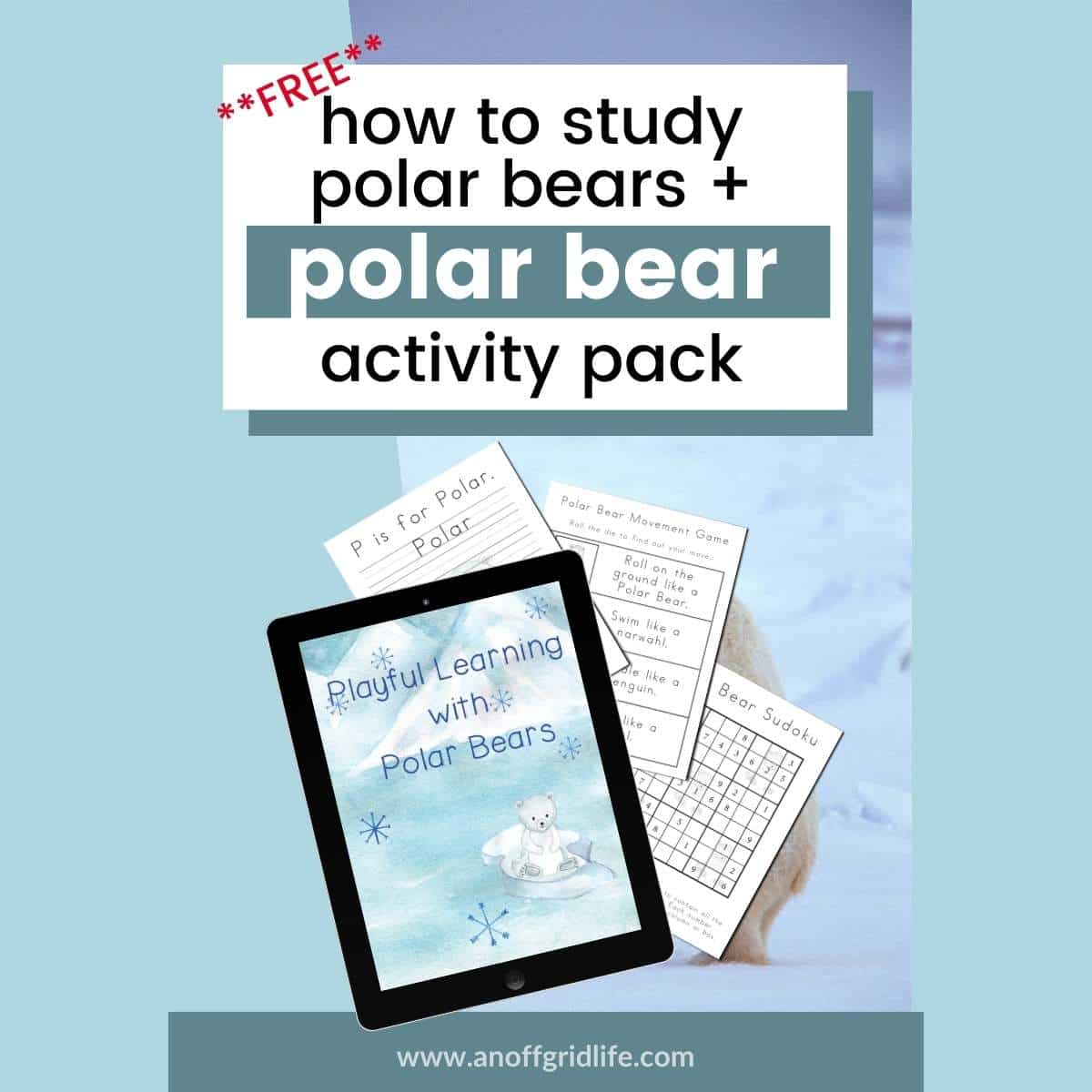 How to Study Polar Bears: 25+ Free Resources - An Off Grid Life