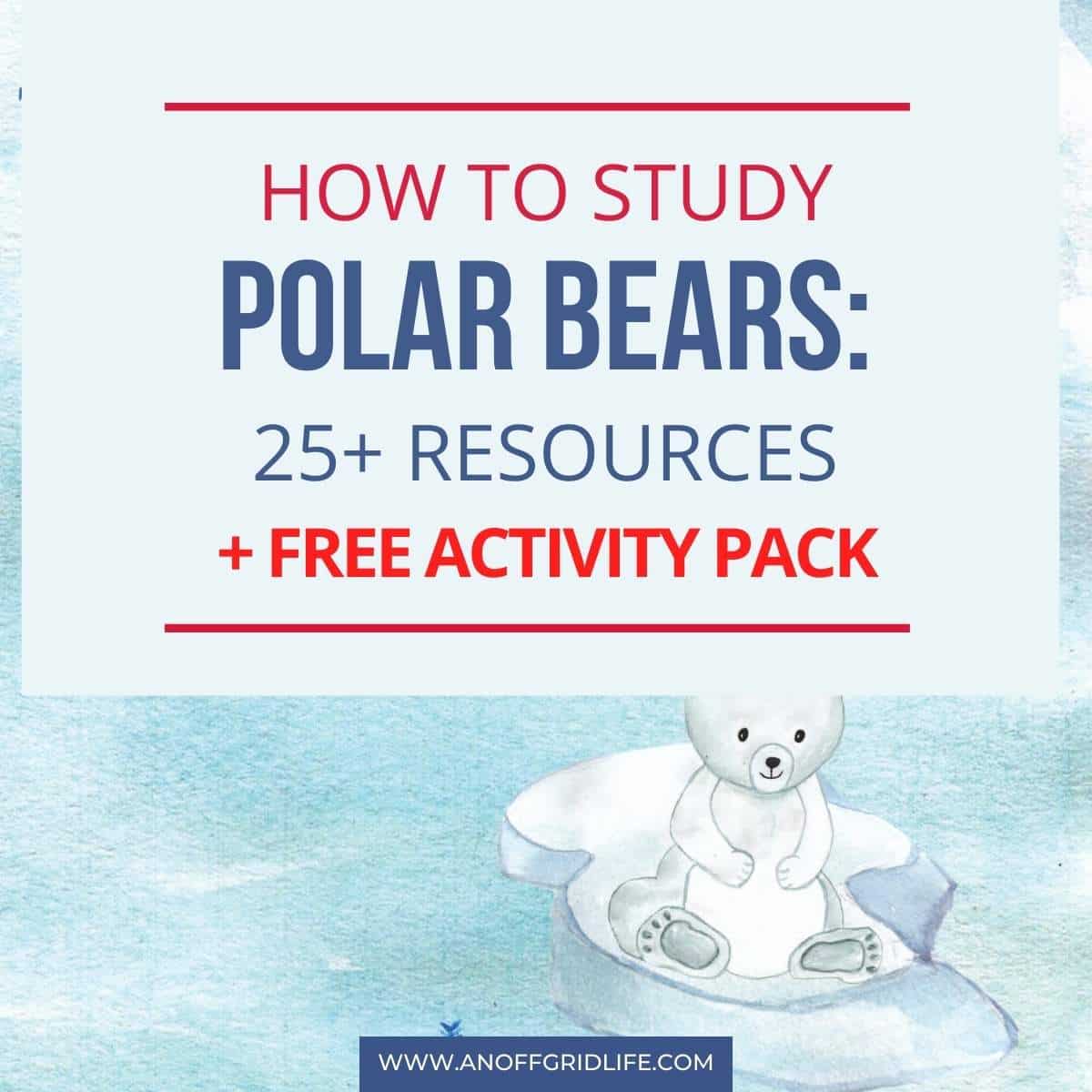How to Study Polar Bears: 25+ Free Resources - An Off Grid Life
