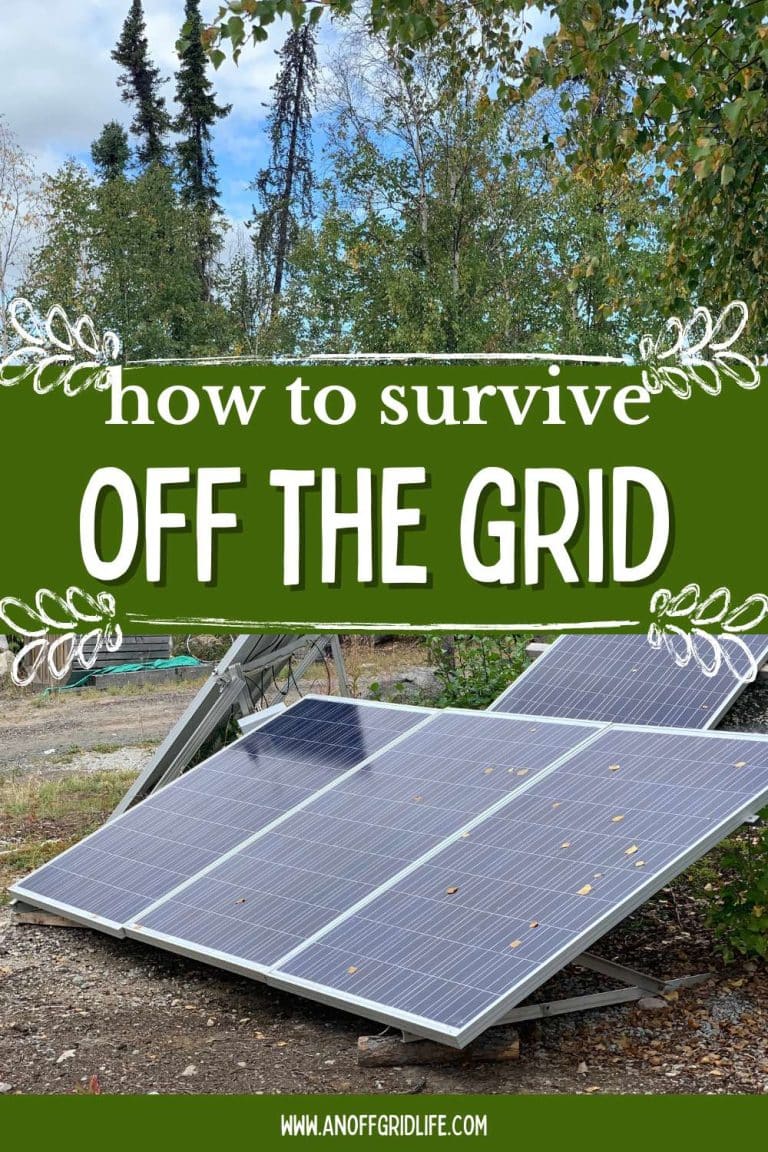 How to Survive Off the Grid: What You Should Know - An Off Grid Life