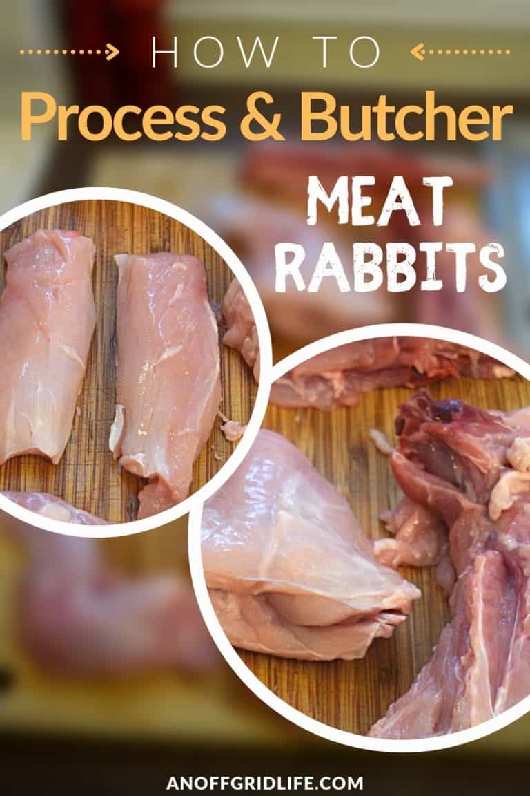 Raising Rabbits For Meat 2: Processing & Butchering - An Off Grid Life