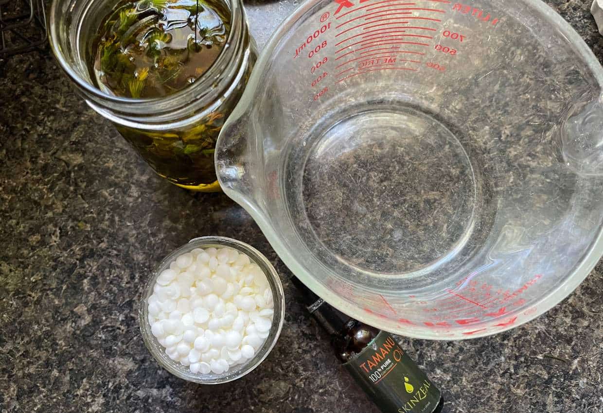 Dandelion Oil: How to Make and Use Oil and Salve