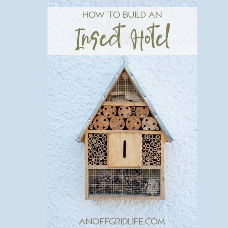 How to Build an Insect Hotel - An Off Grid Life