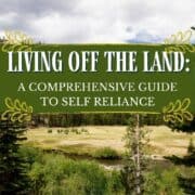 Living Off The Land: A Comprehensive Guide to Self Reliance - An Off ...