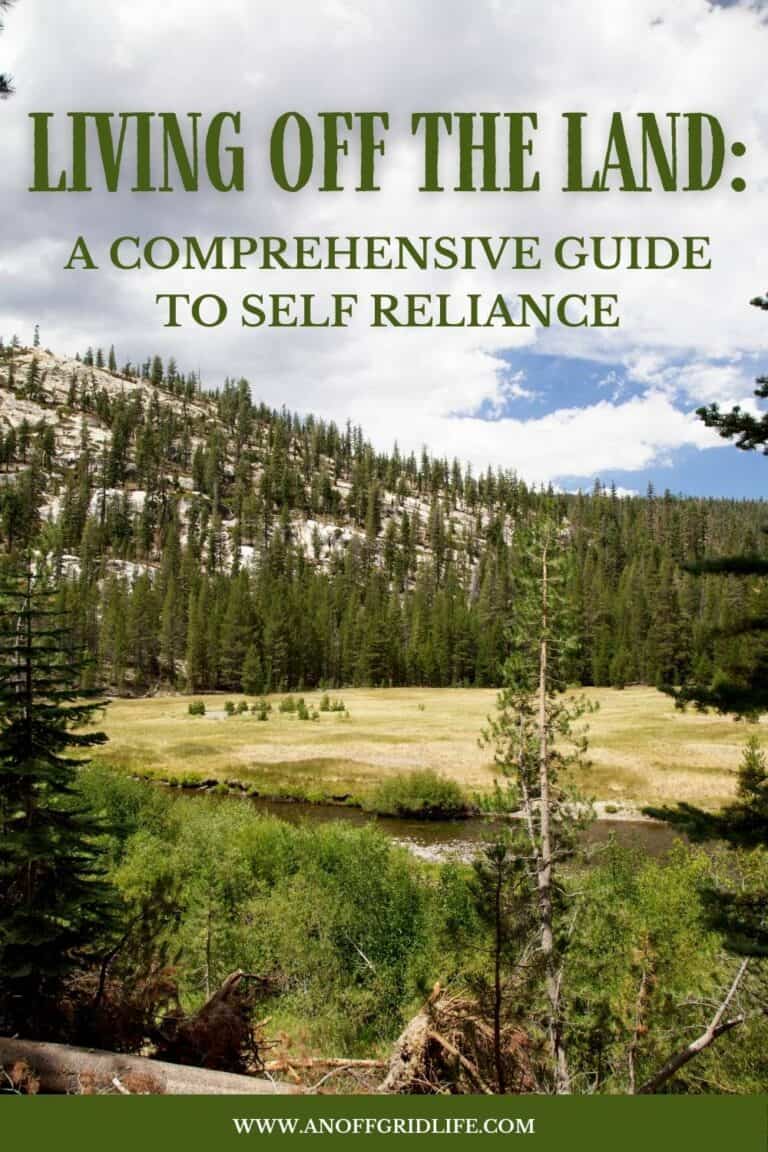 Living Off The Land: A Comprehensive Guide to Self Reliance - An Off ...