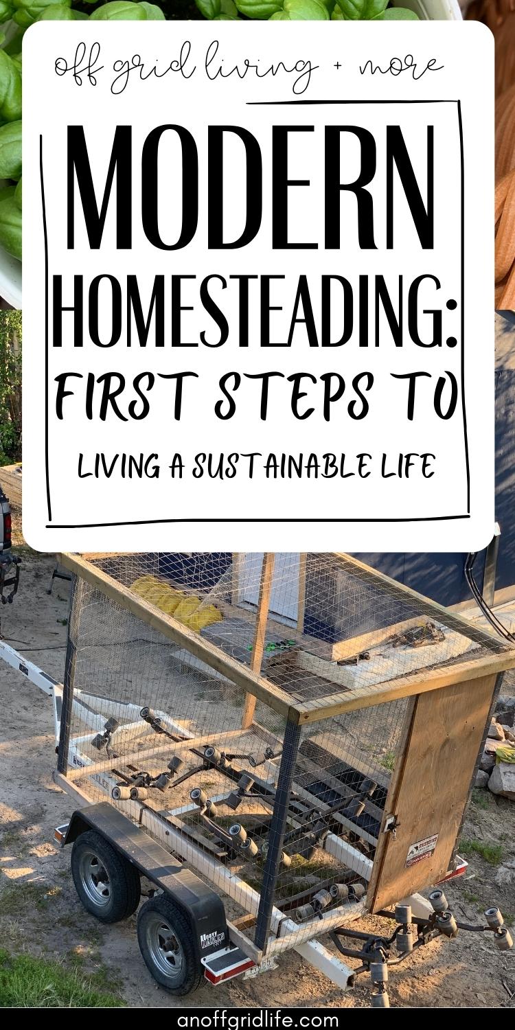 Modern Homesteading: How to Get Started - An Off Grid Life