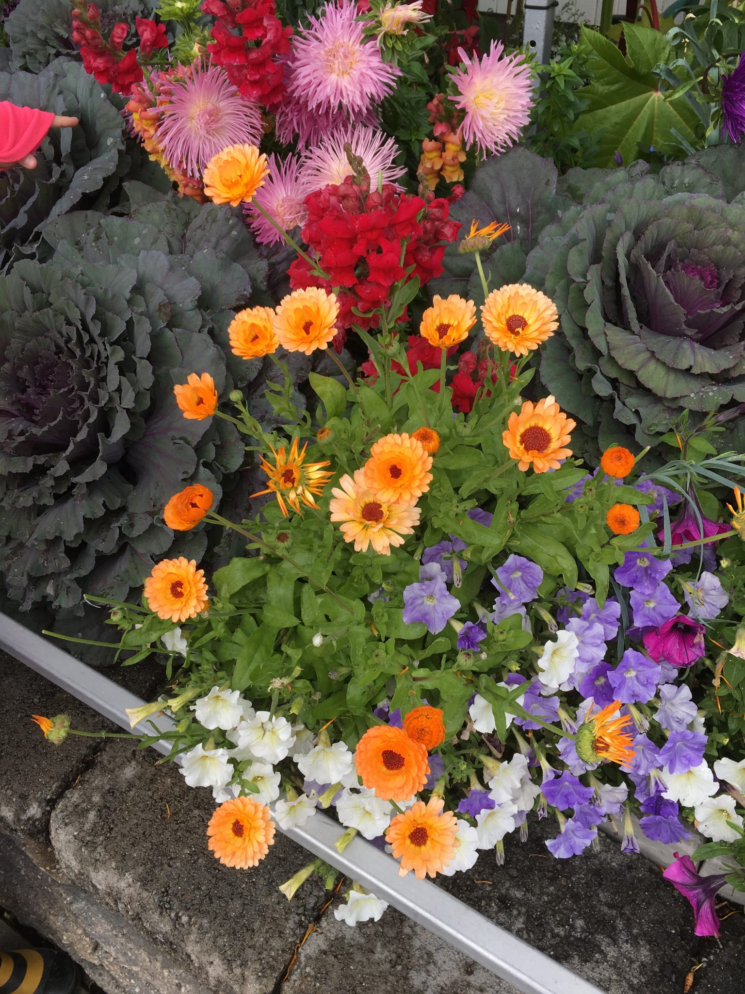 Homemade Plant Food: 7 Easy Natural Fertilizer Recipes - An Off Grid Life